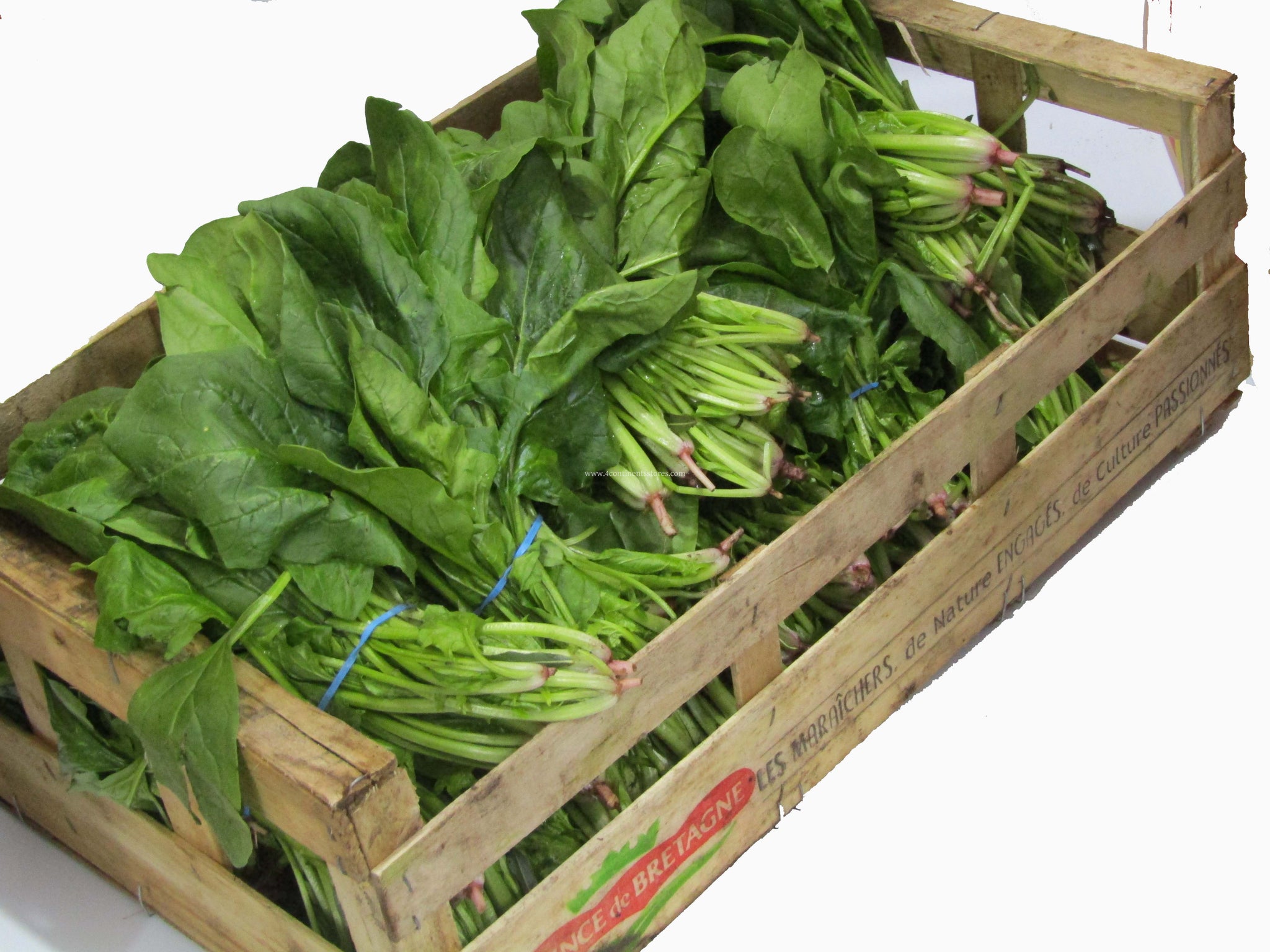 Spinach Box – 4 Continents Stores Ltd